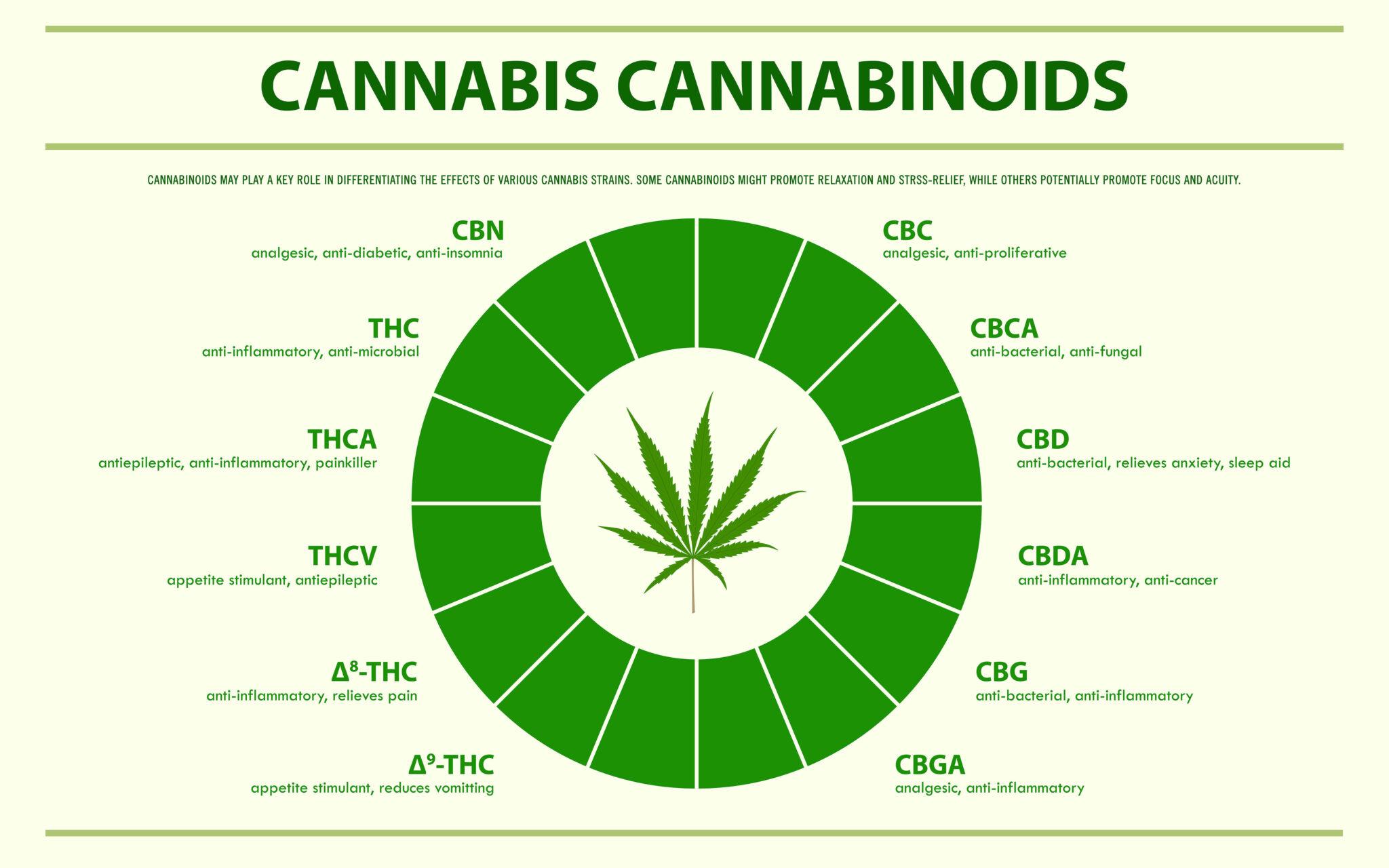 Cannabis and the Spirit of Renewal: A Different Kind of Reset - Budr ...